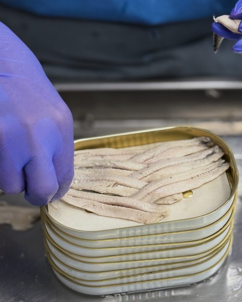 ¿Sabes cómo se hacen los boquerones en vinagre? Así es el proceso en ...